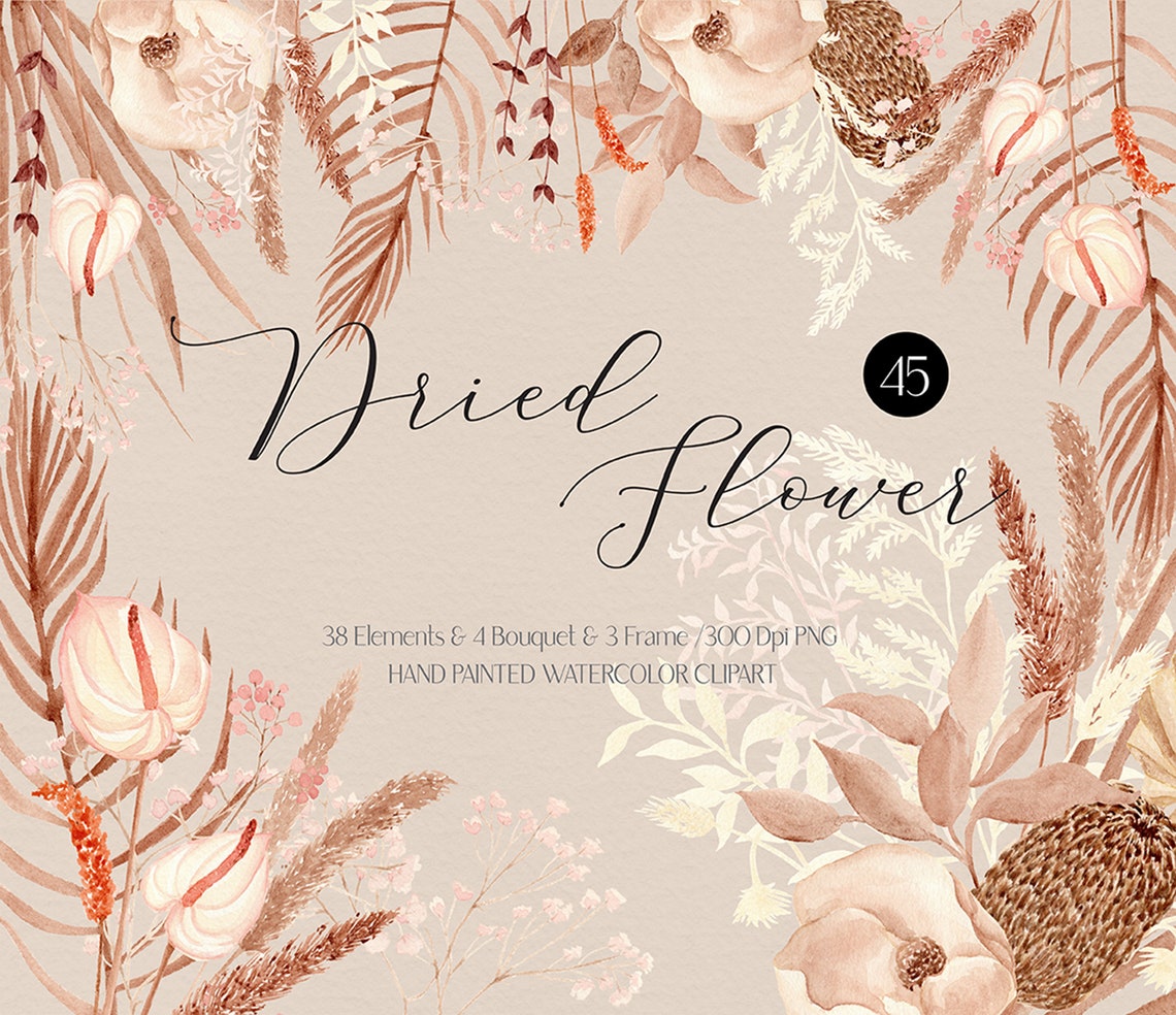 Watercolor Dried Flower Clipart Boho Flower Clipart Boho - Etsy