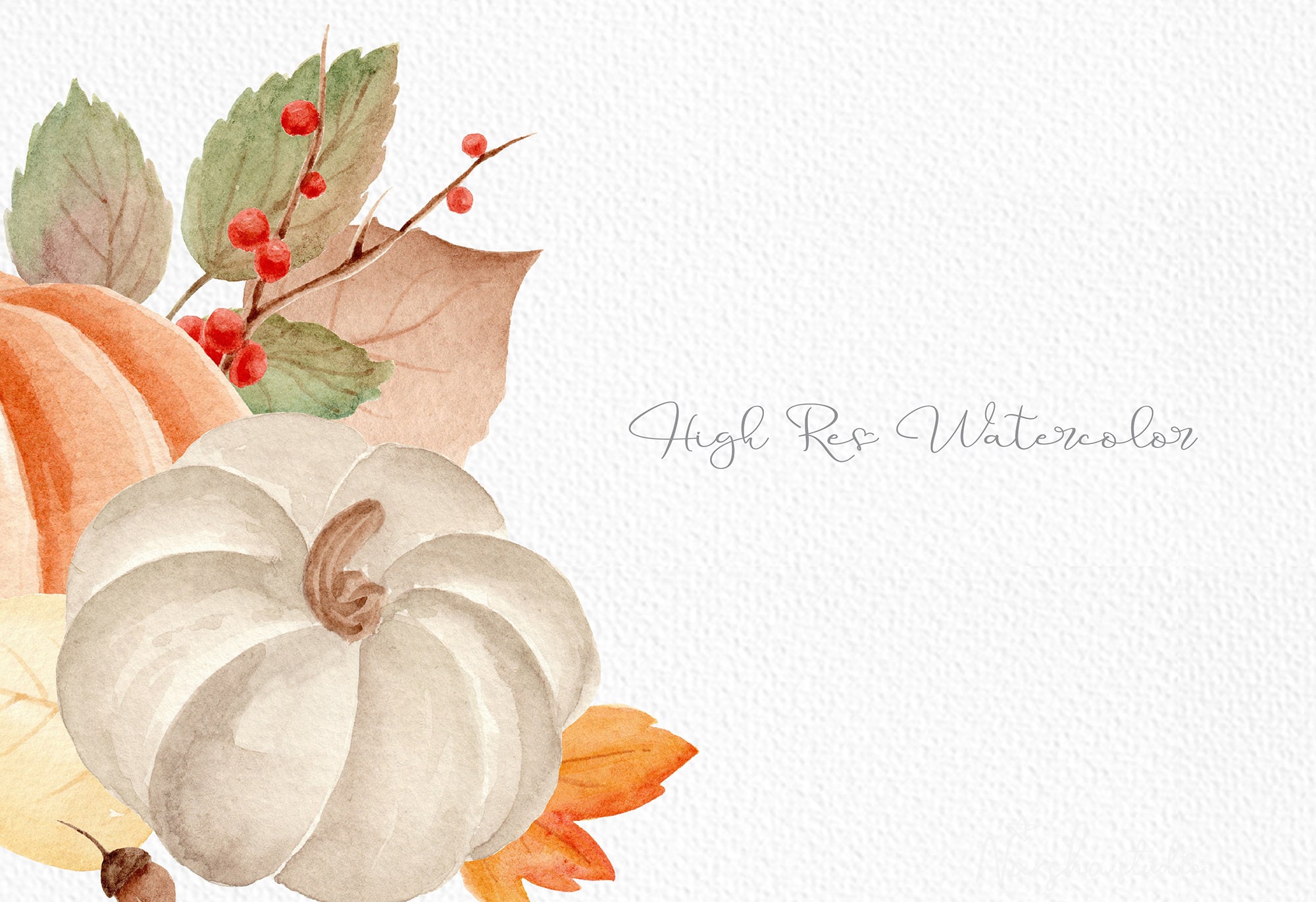 Watercolor Fall Clipart Watercolor Pumpkins Clipart Pumpkin - Etsy