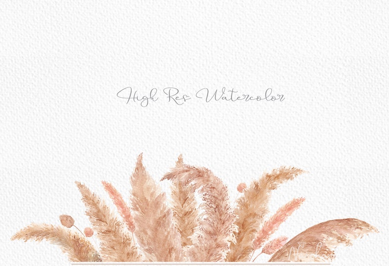 Dried Pampas Grass Frames Watercolor Clip Art. Boho Wedding - Etsy