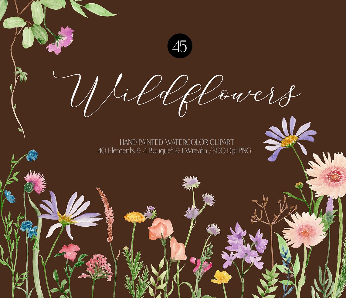 Watercolor Wildflower Clipart Boho Floral Clipart Wildflower - Etsy