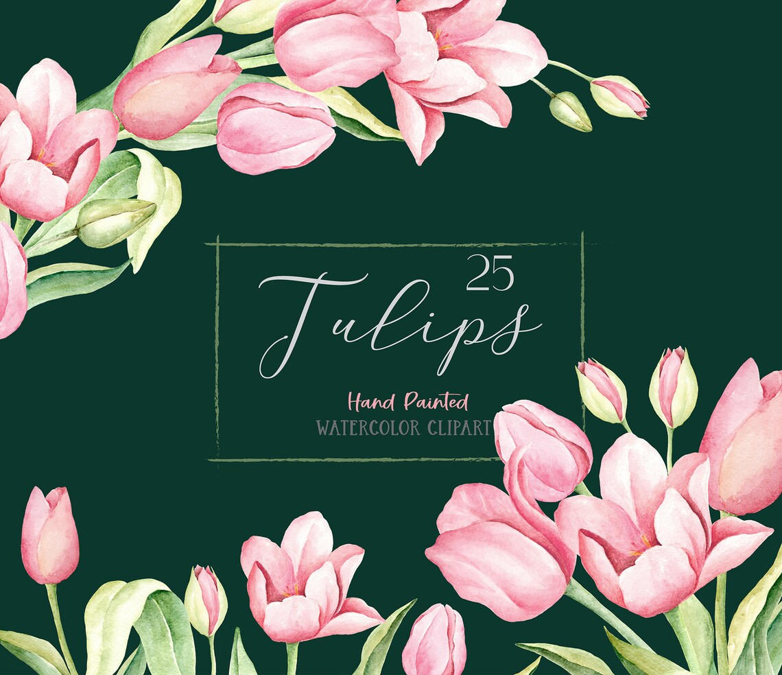 Spring Pink Tulip Watercolor Clip Art/ Floral Clipart/ Botanical ...