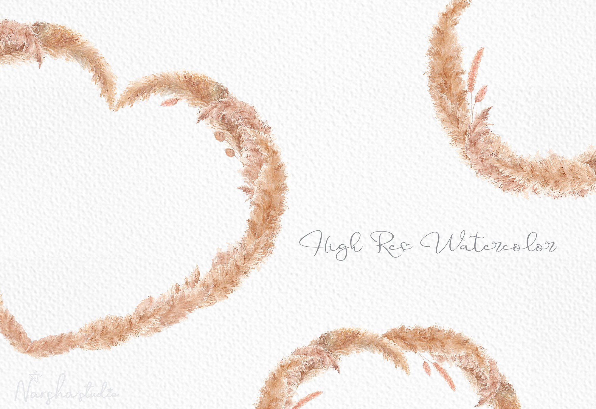 Pampas Grass Wreath Watercolor Clip Art. Watercolor Pampas - Etsy