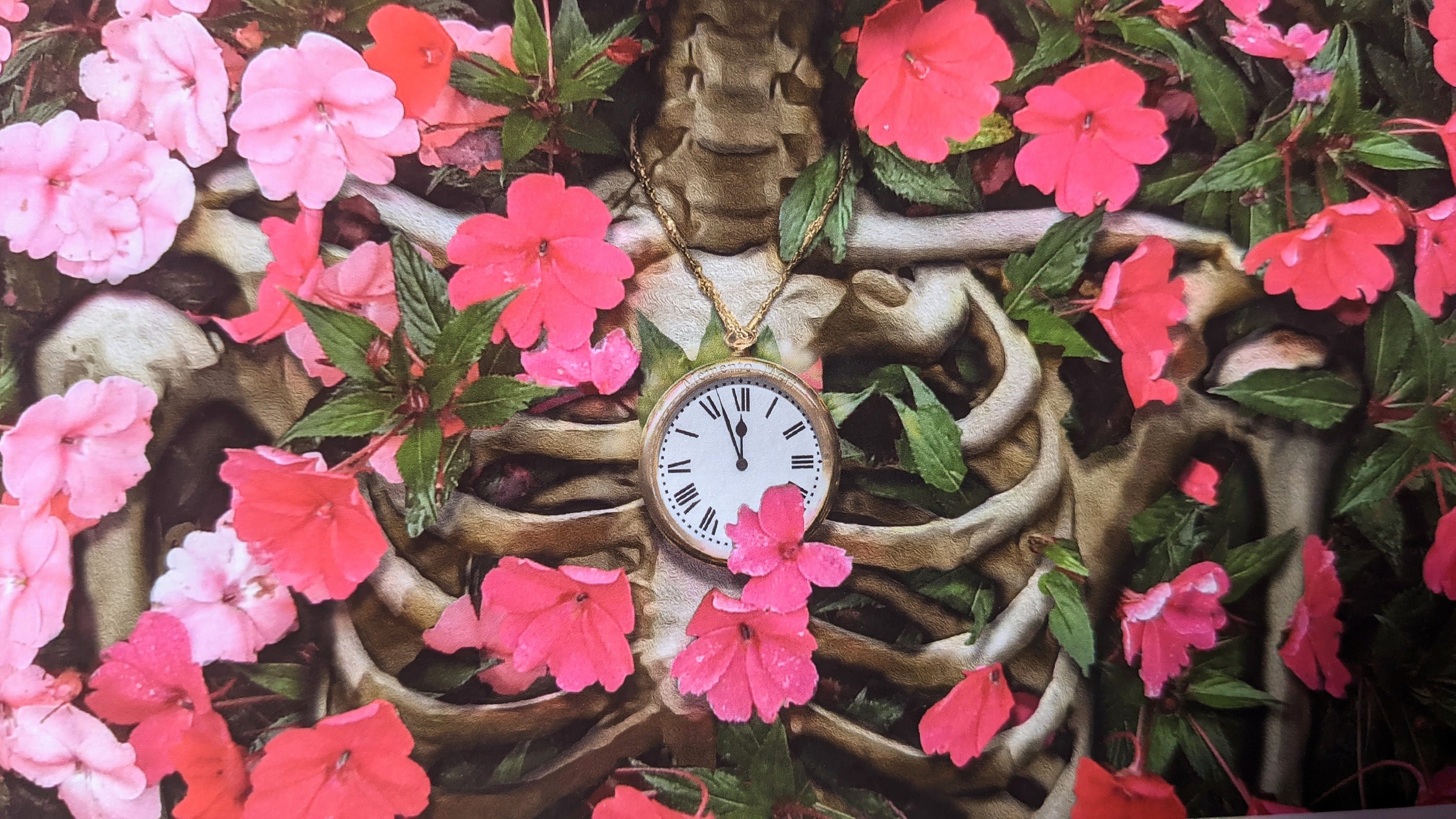 Skeleton Poster Floral Skull Flowers Memento Mori | Etsy