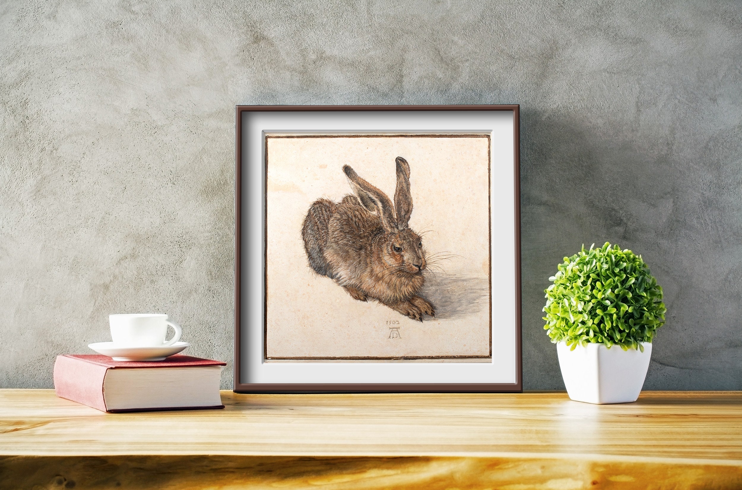 The Young Hare by Albrecht Durer Fine Rabbit Art Print Made | Etsy
