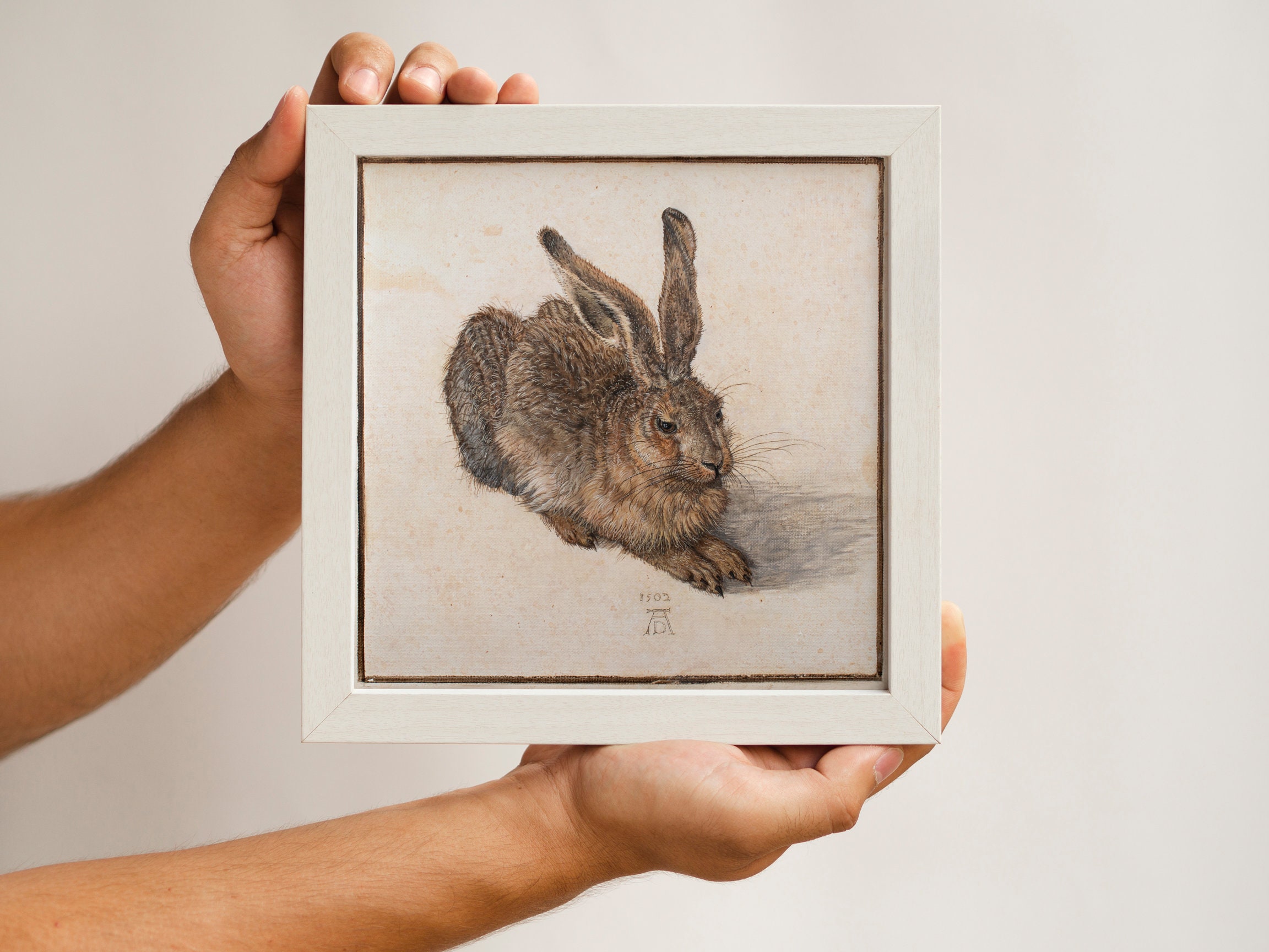 The Young Hare by Albrecht Durer Fine Rabbit Art Print made | Etsy