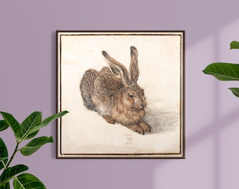 Young Hare by Durer - Etsy