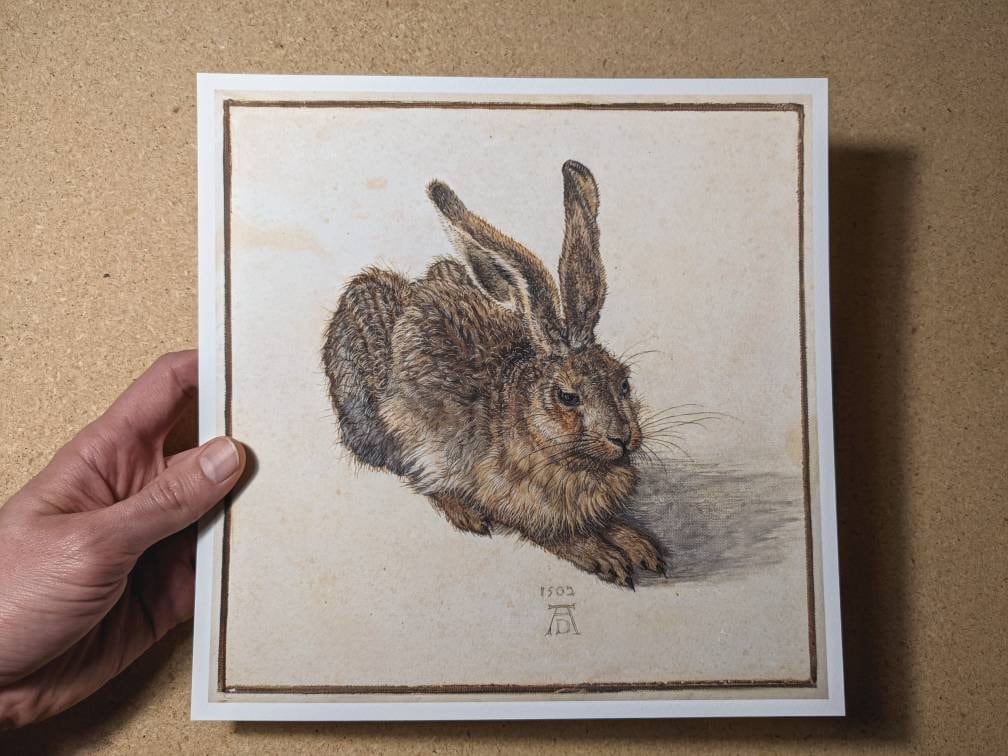 The Young Hare by Albrecht Durer Fine Rabbit Art Print Made | Etsy