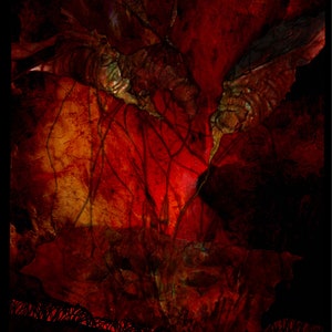 Art of David Higginson Art Prints - Etsy