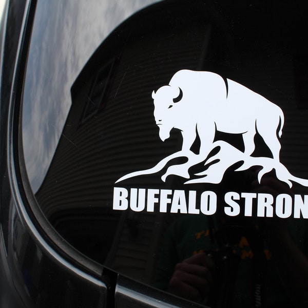 Buffalo Ny Car Window Decal - Etsy