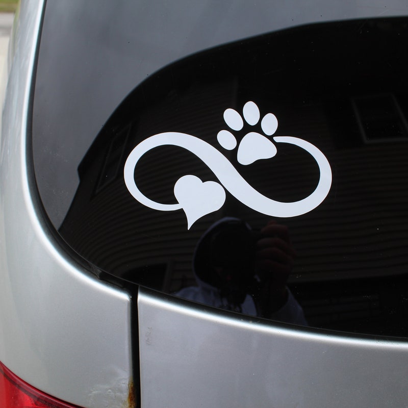 Infinity Paw Svg - Etsy