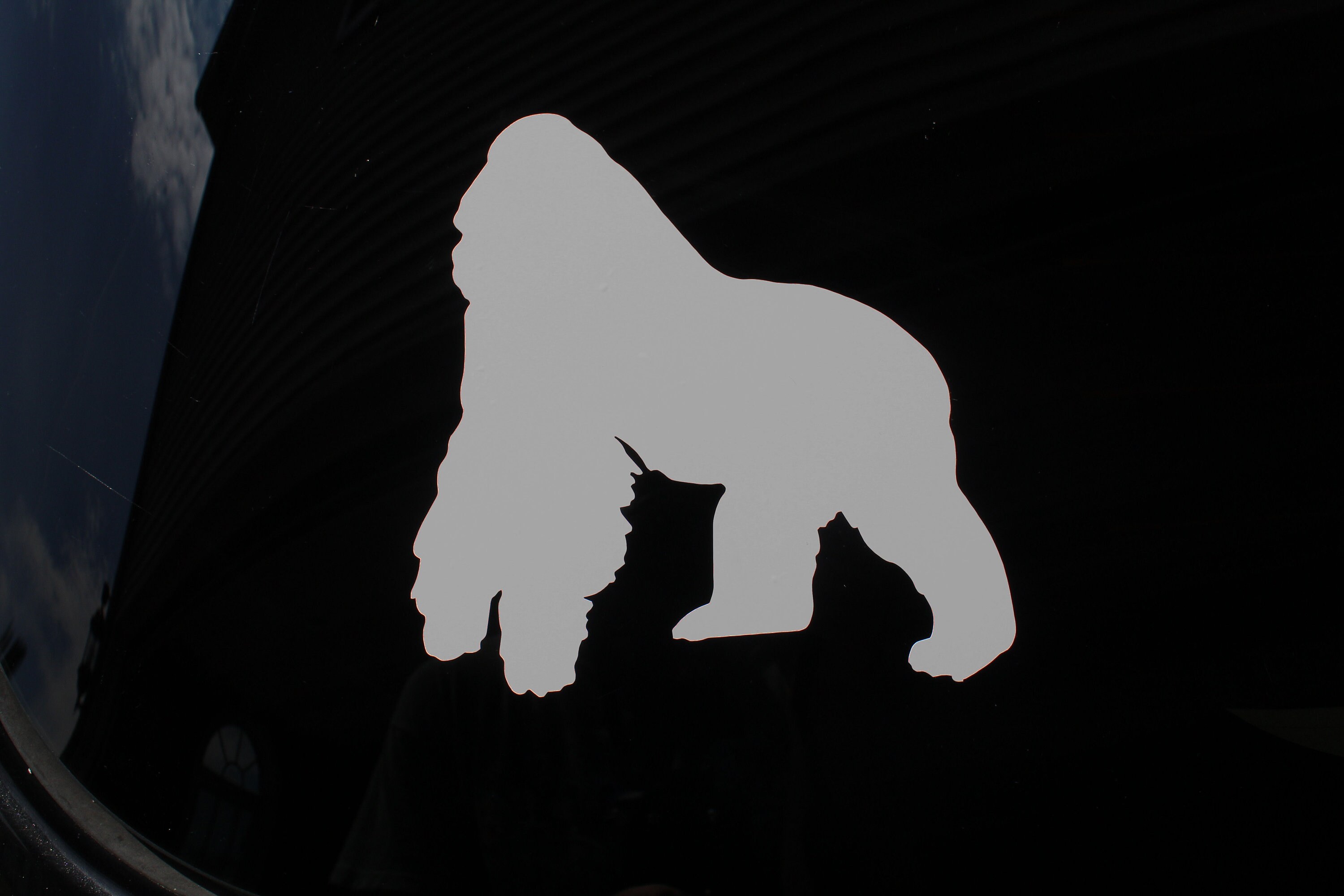 Silverback Gorilla Decal Car Window Laptop Quality Oracal | Etsy