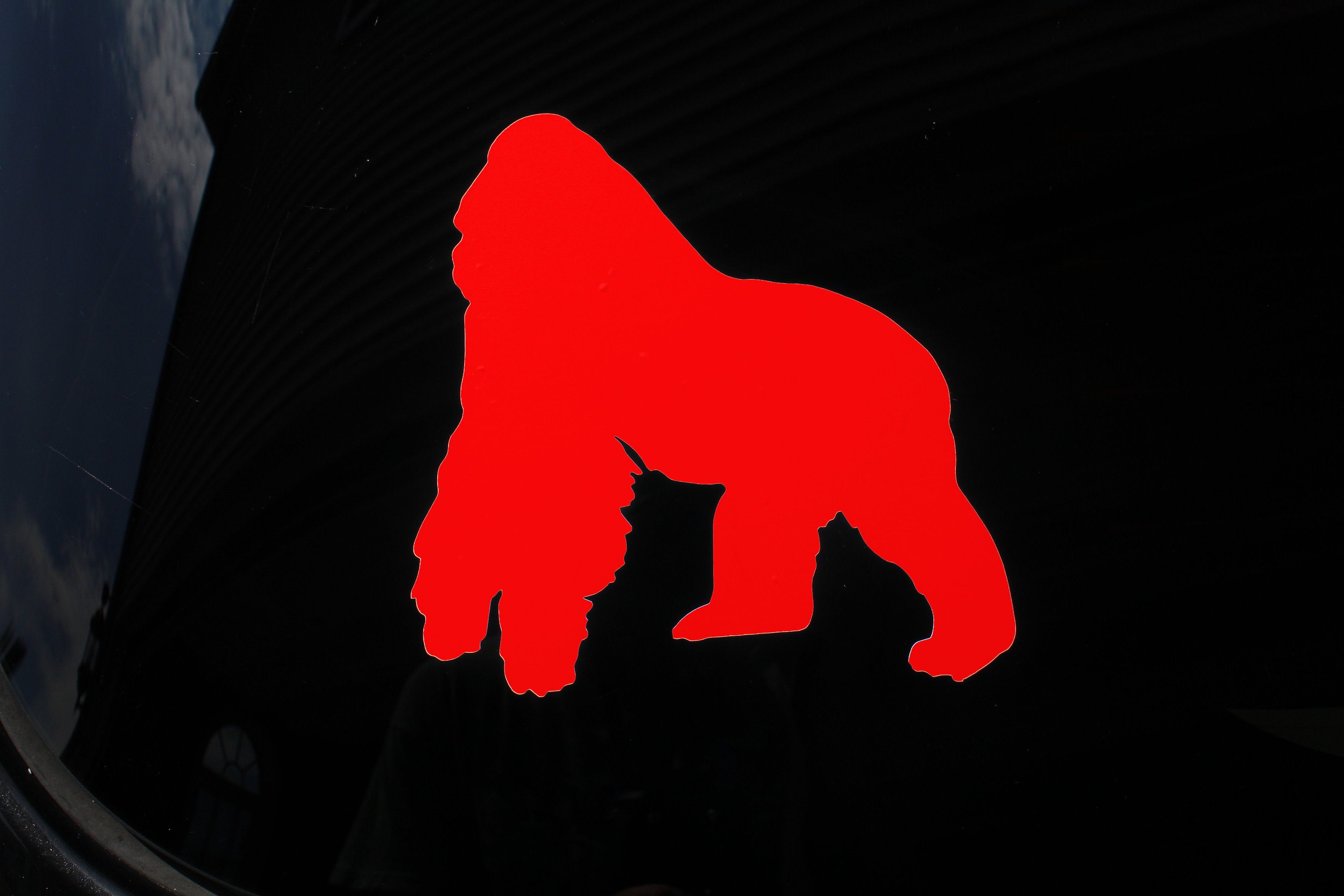 Silverback Gorilla Decal, Oracal Vinyl, Car/laptop/window (buy 1 Get 1 ...