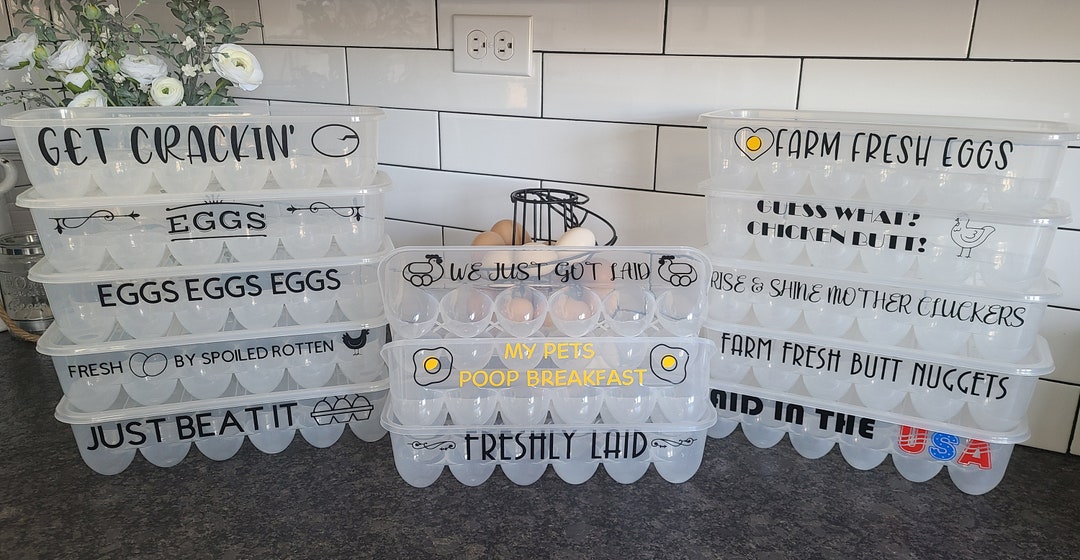 Funny Reusable Plastic Egg Containers - Etsy