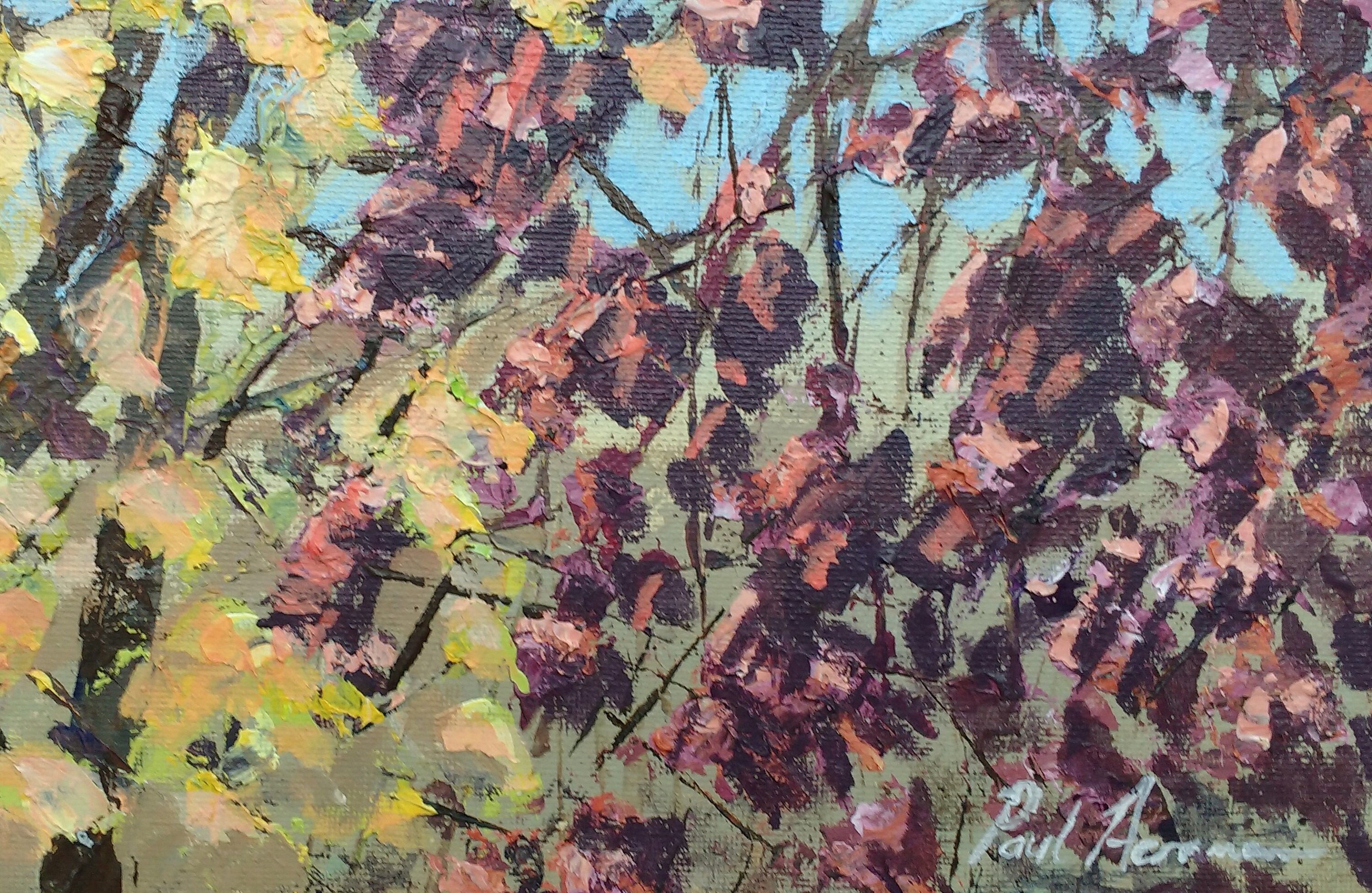 Sunny Beeches Paul Acraman Acrylic Painting - Etsy.de