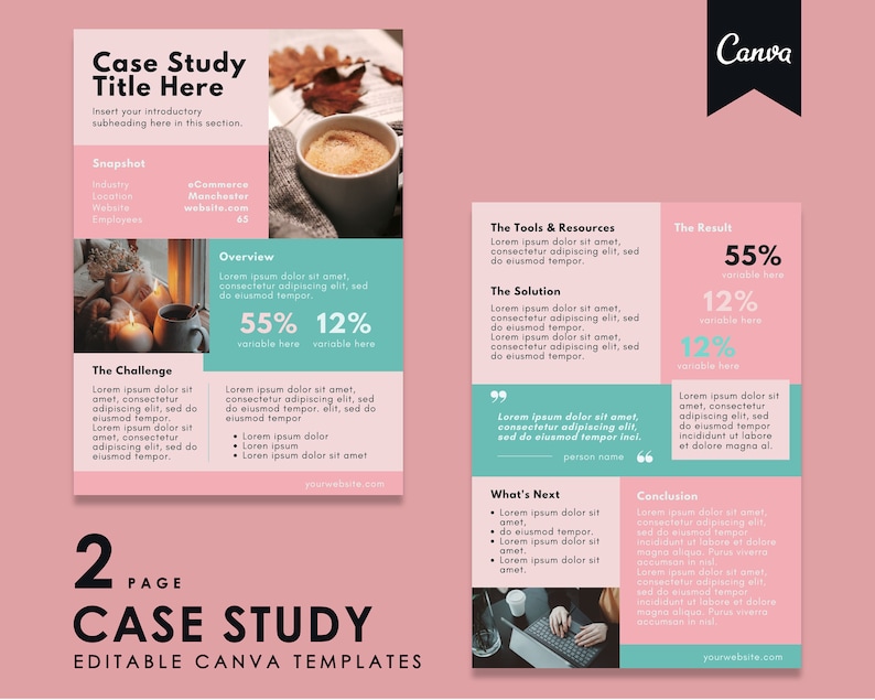 Case Study Template | Editable Case Study Flyer Template Canva ...