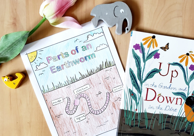 Earthworm Study Unit: Anatomy, Life Cycle & Facts (PDF Download) - Etsy