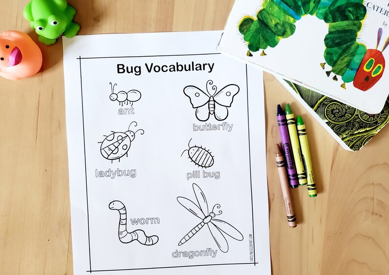 Bug Vocabulary Coloring Page Coloring Pages for Kids Spring - Etsy
