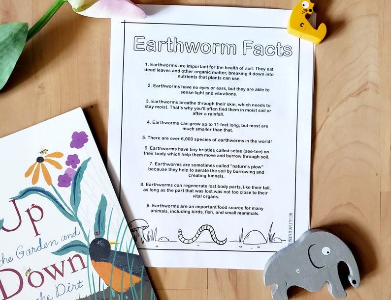 Earthworm Study Unit: Anatomy, Life Cycle & Facts (PDF Download) - Etsy