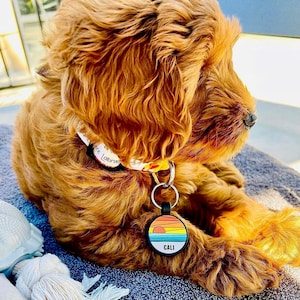 Love Your Pets Soundless Designer Pet ID Tag - Deep Engraved Silicone ...