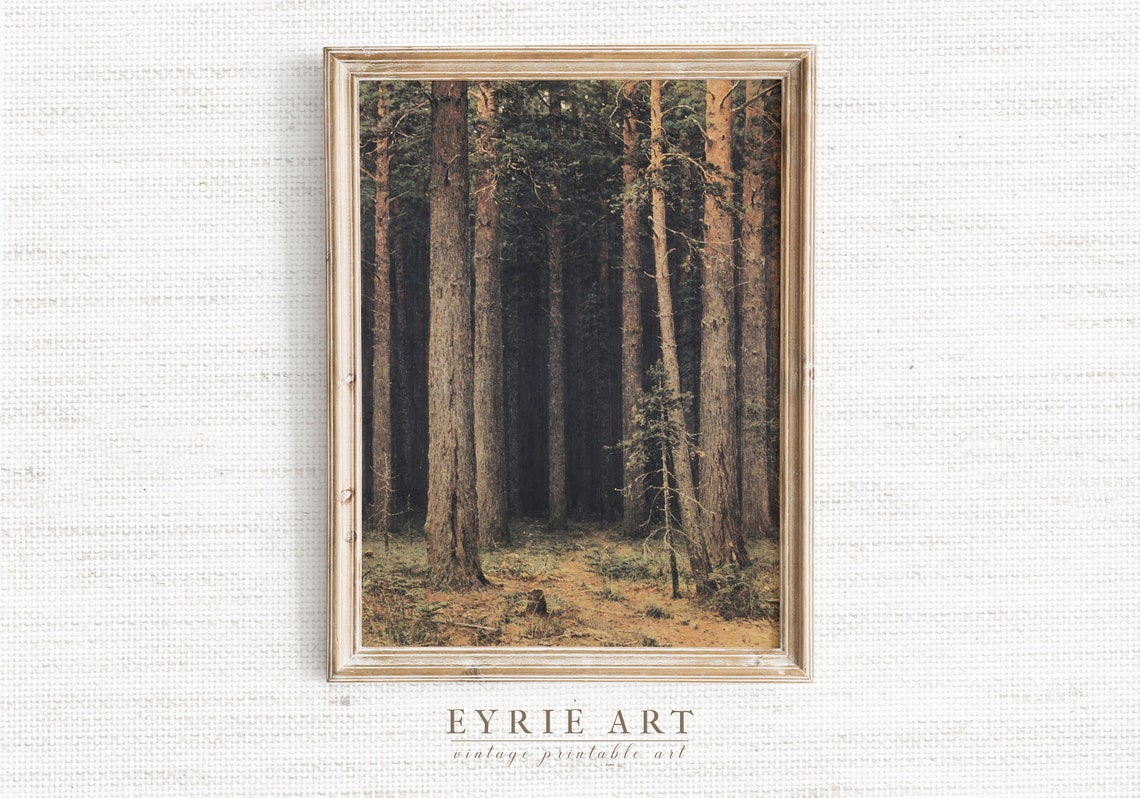 Tree 3 Piece Wall Art Forest Landscape Print SET of 3 Nature - Etsy