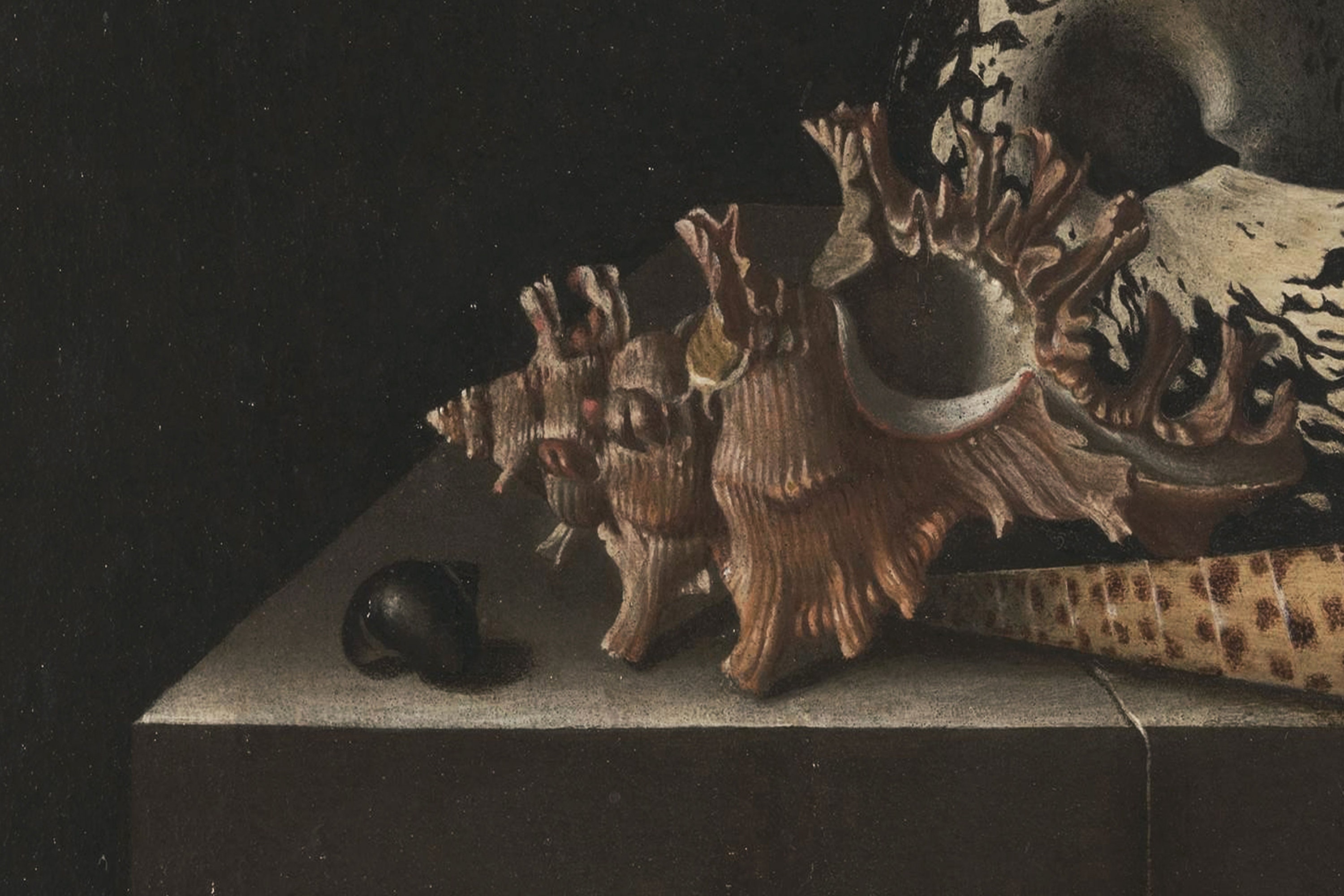 Antique Still Life Painting, Sea Shell Wall Art, Dark Moody Lake House ...