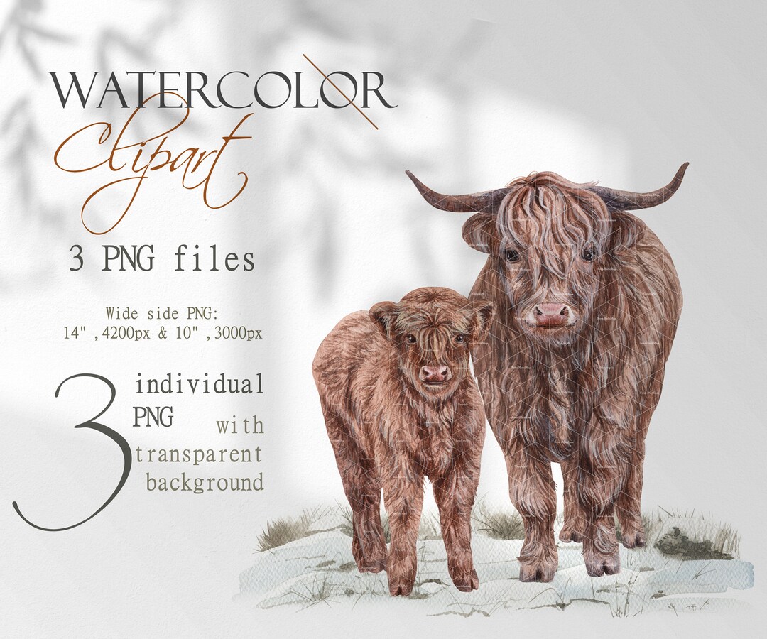 Watercolor Highland Cow. Cattle Cow. Moma Cow and Cattle Calf - Etsy