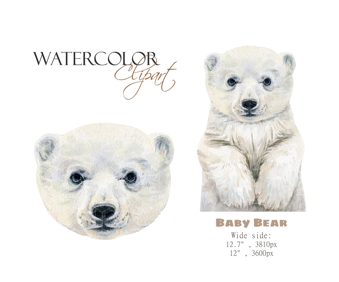 Watercolor Polar Bear Clipart Printable White Bear - Etsy