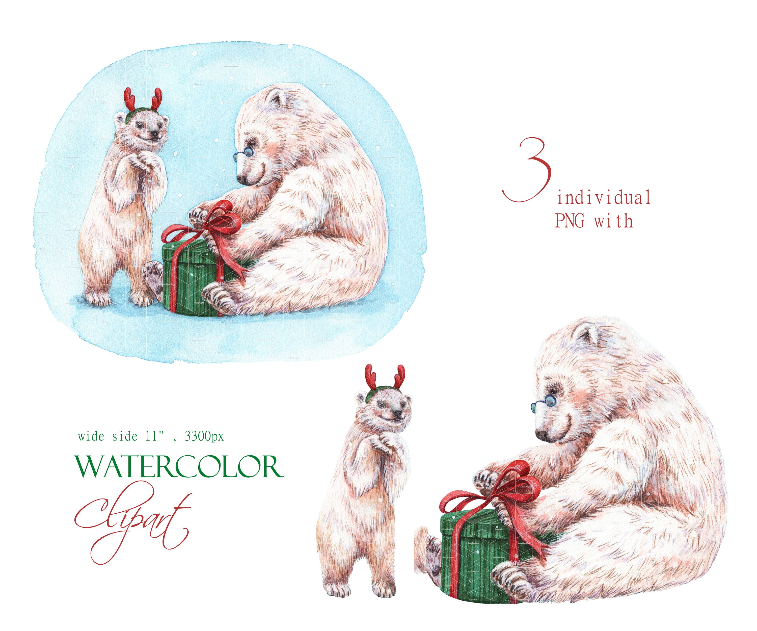 Watercolor Polar Bears Clipart Dad Bear With Baby Bear. - Etsy