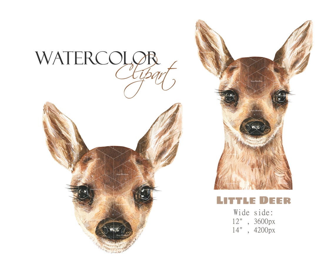 Watercolor Deer Clipart Printable Baby Deer - Etsy