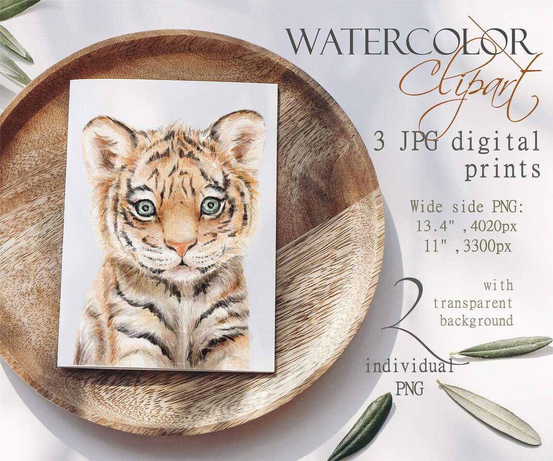 Baby Tiger Clipart Watercolor Tiger Cube Portrait - Etsy