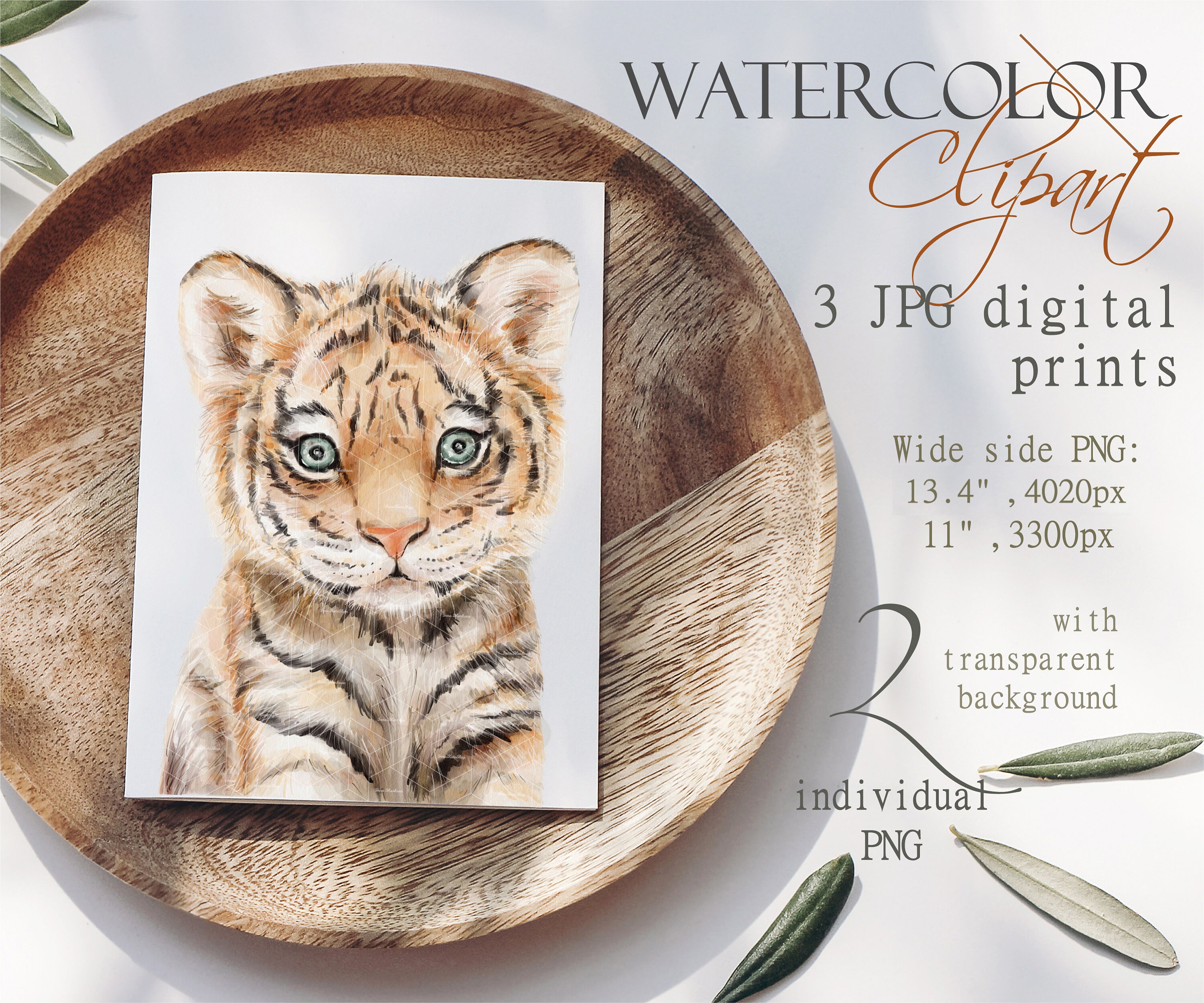 Baby Tiger Clipart Watercolor Tiger Cube Portrait - Etsy