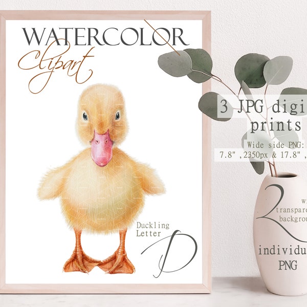 Baby Duckling Clipart - Etsy