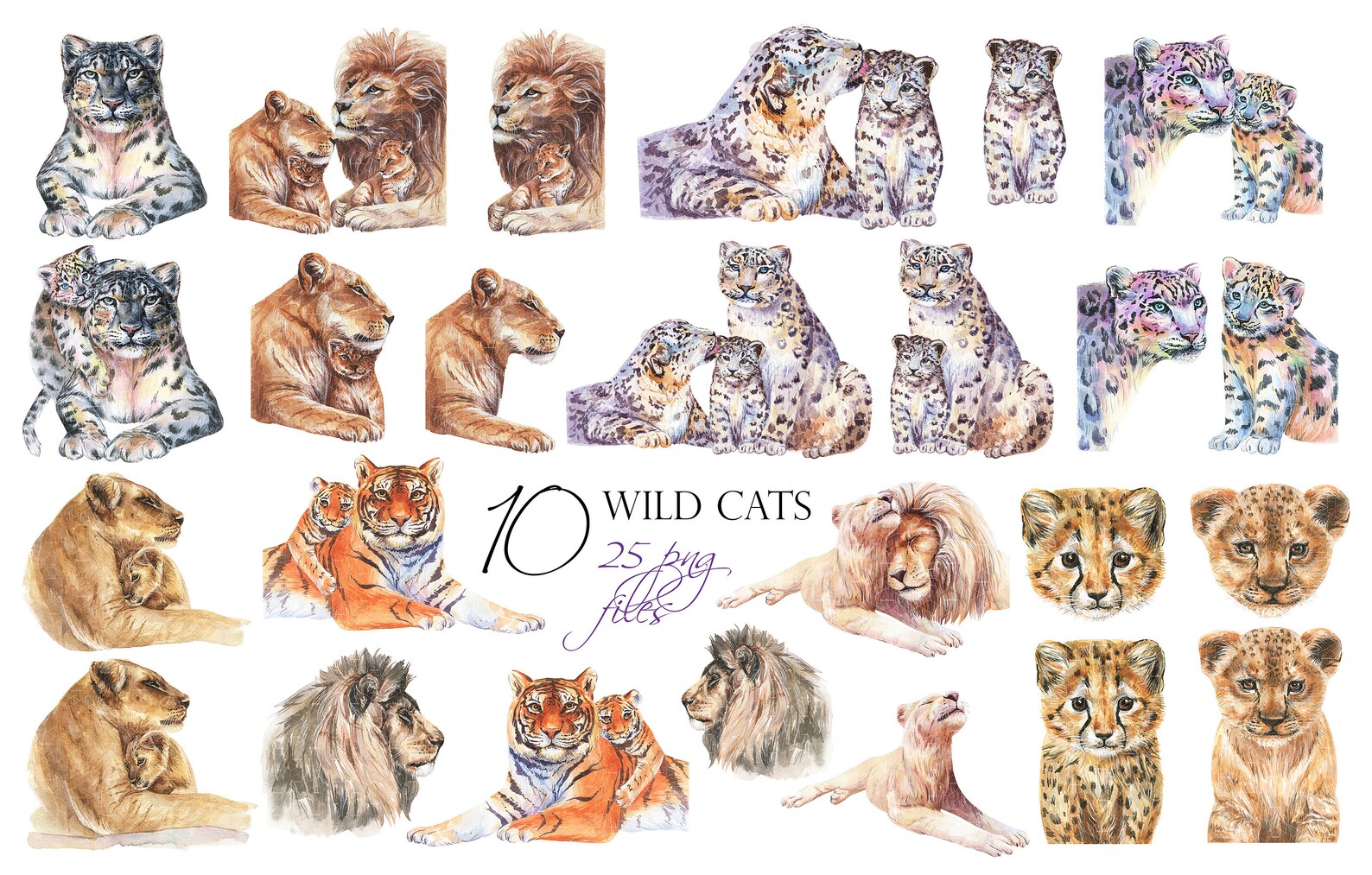 Watercolor Wild Cats Clipart Animal Family Png - Etsy