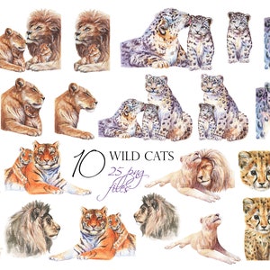 Watercolor Wild Cats Clipart Animal Family Png - Etsy