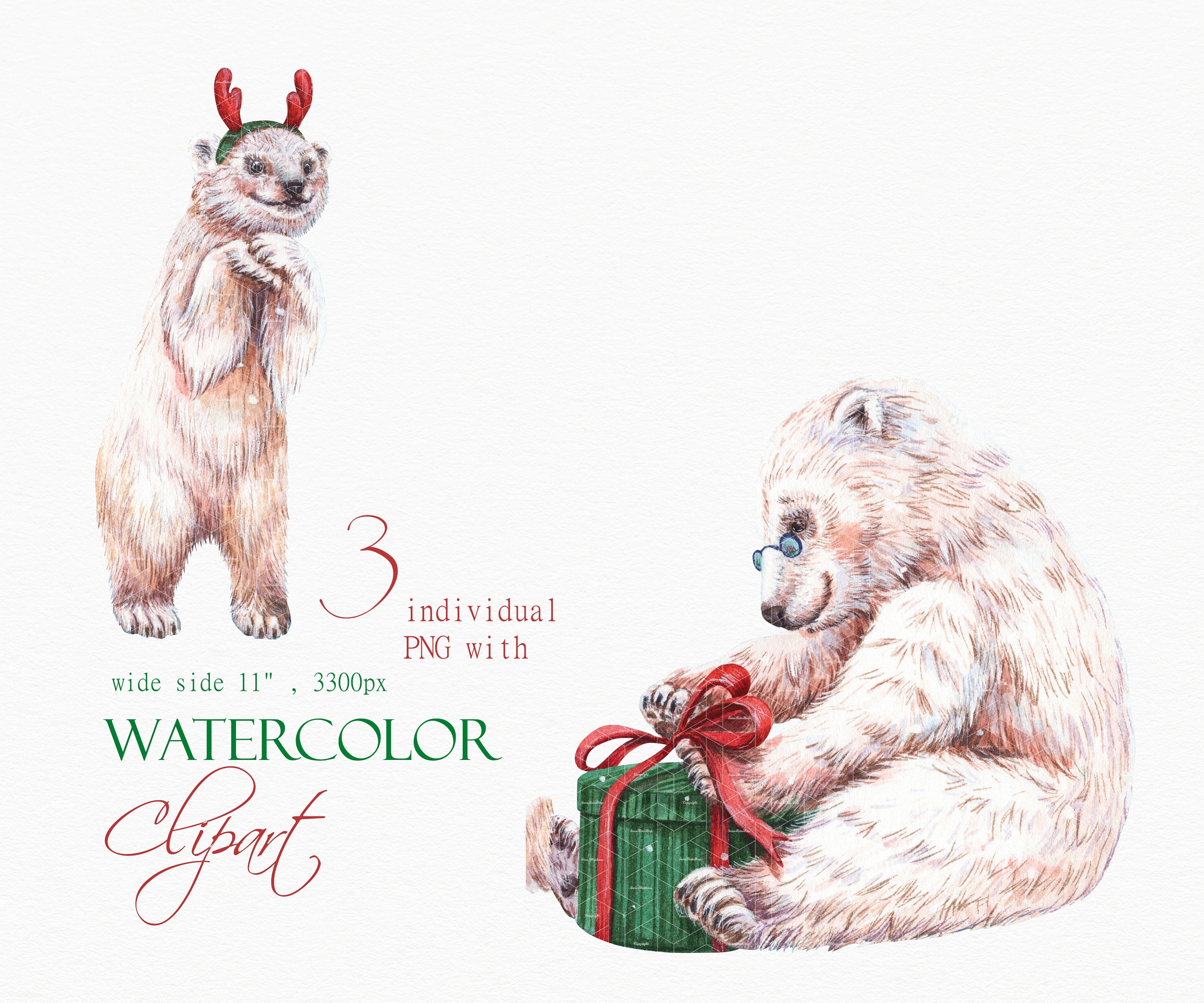Watercolor Polar Bears Clipart Dad Bear With Baby Bear. - Etsy