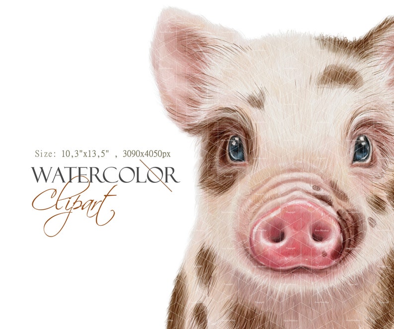 Spotted Pig Clipart. Watercolor Piggy Print. Pink Piglet - Etsy