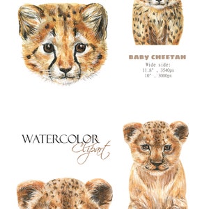 Watercolor Wild Cats Clipart Animal Family Png - Etsy