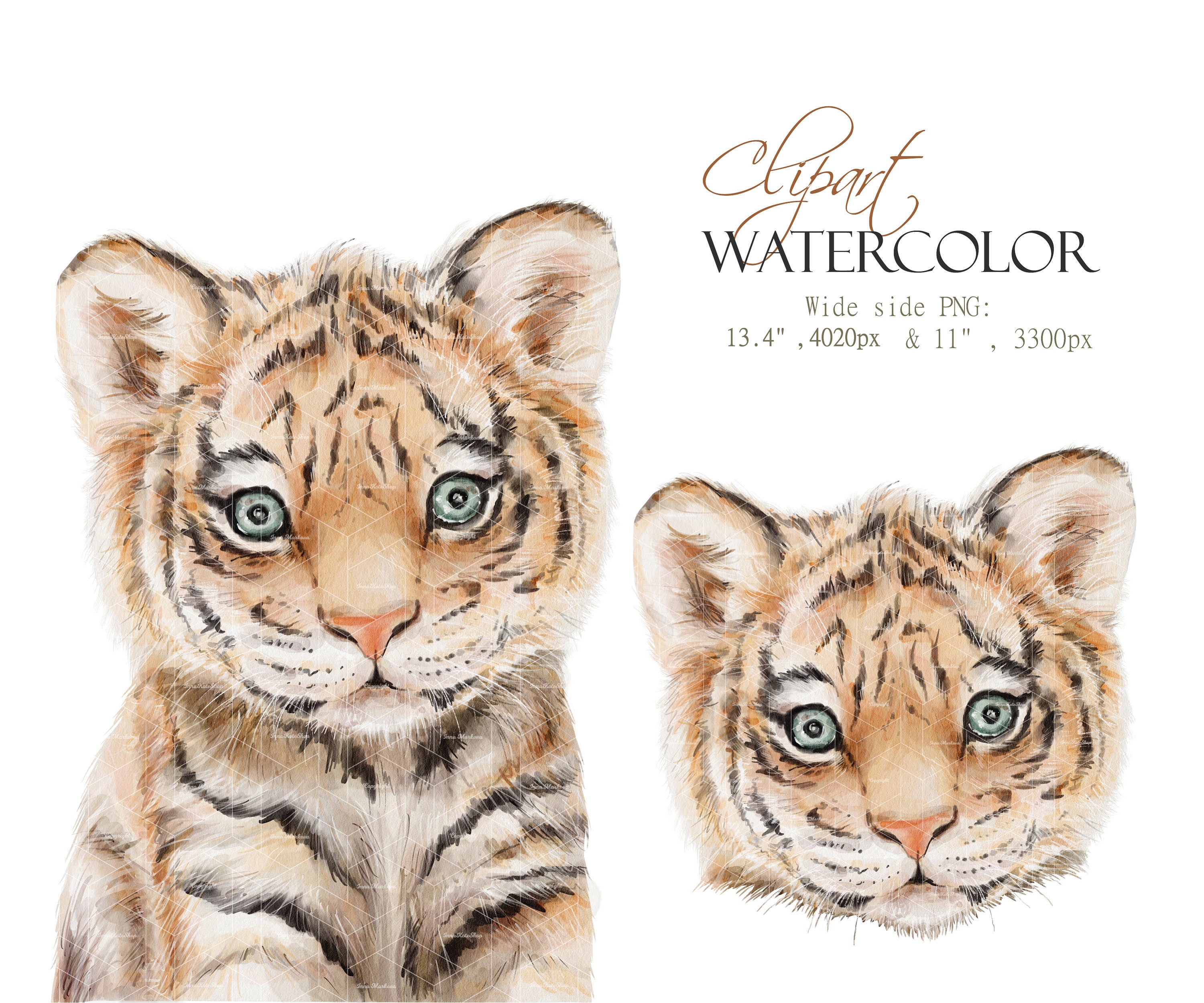 Baby Tiger Clipart Watercolor Tiger Cube Portrait - Etsy