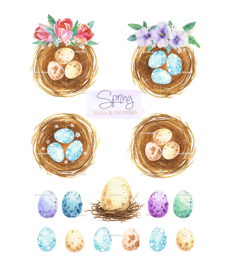 Watercolor Easter Egg Clipart Spring Floral Nest Clip Art - Etsy