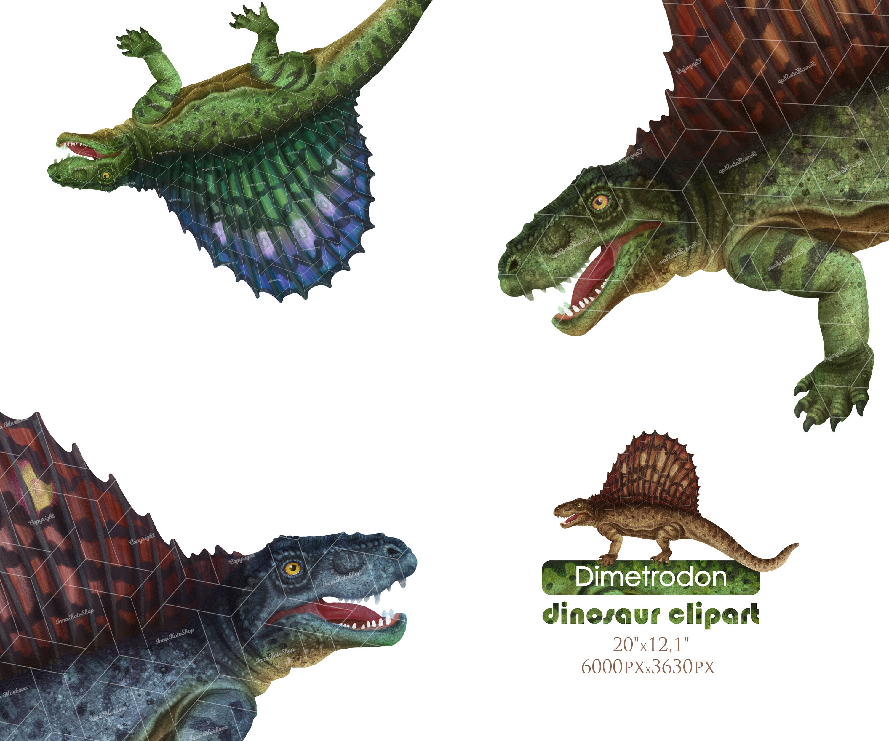 Brown Dimetrodon Png. Green Dinosaur Clipart - Etsy