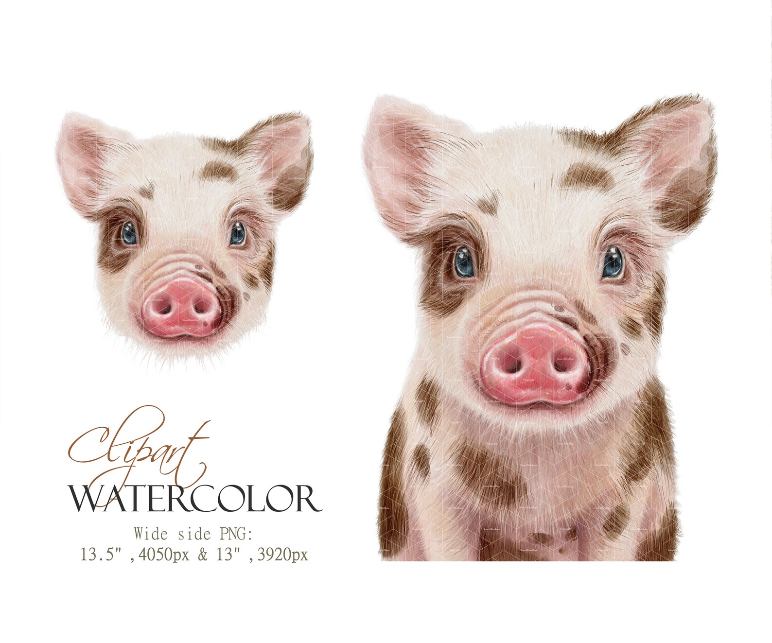 Spotted Pig Clipart. Watercolor Piggy Print. Pink Piglet - Etsy