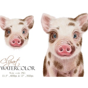 Spotted Pig Clipart. Watercolor Piggy Print. Pink Piglet - Etsy