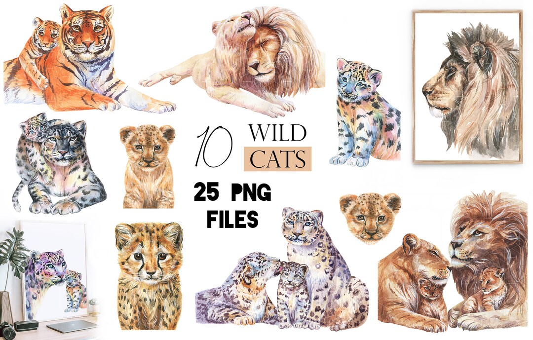 Watercolor Wild Cats Clipart Animal Family Png - Etsy