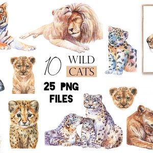 Watercolor Wild Cats Clipart Animal Family Png - Etsy