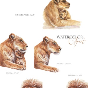 Watercolor Wild Cats Clipart Animal Family Png - Etsy