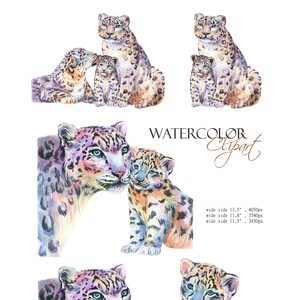 Watercolor Wild Cats Clipart Animal Family Png - Etsy