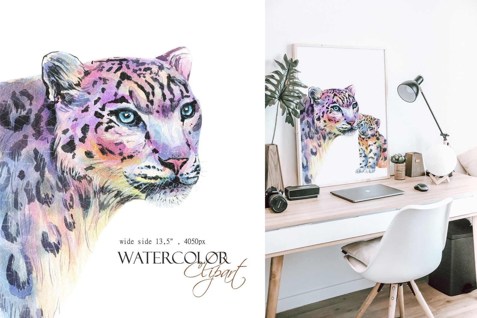 Watercolor Wild Cats Clipart Animal Family Png - Etsy