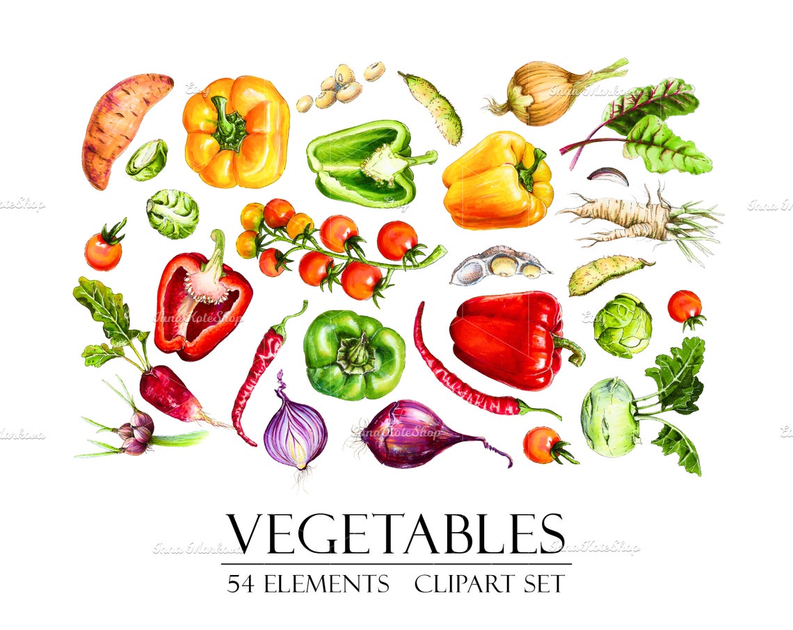 Vegetable Clipart Autumn Harvest Vegetables Clip Art Vegan - Etsy
