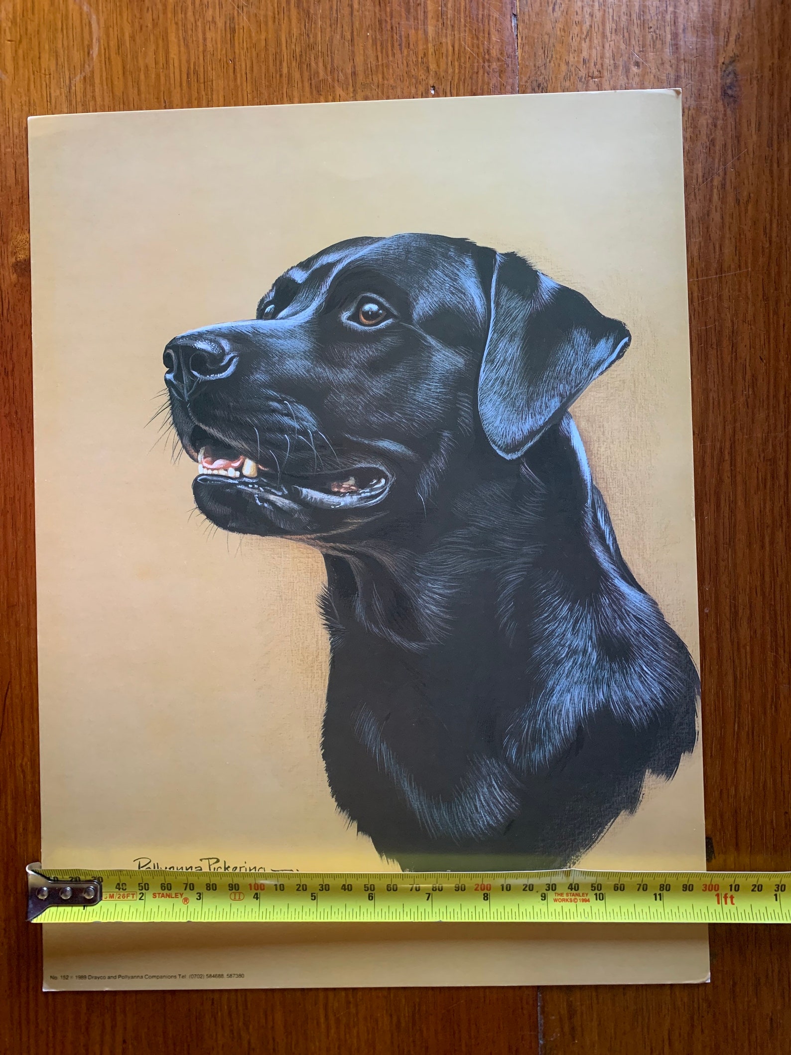 Black Labrador Retriever Dog PRINT/ Picture. Print From a - Etsy