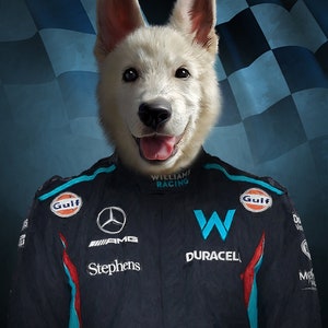 Red Ball, Formula Racing Car, F1 Driver Team Pet Portrait, Custom Dog ...